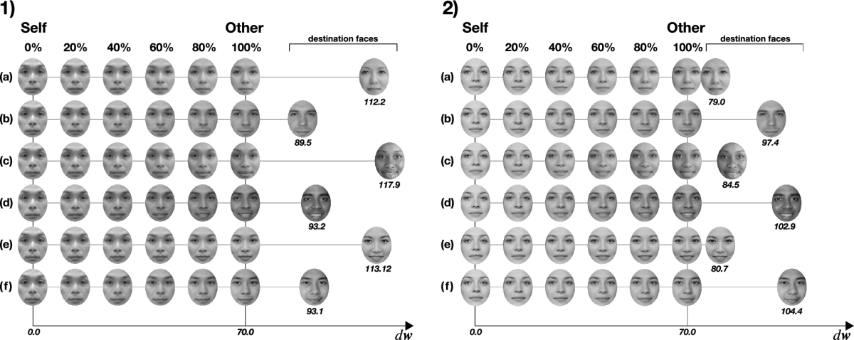 Face boundary in action – Cybernetic Humanity